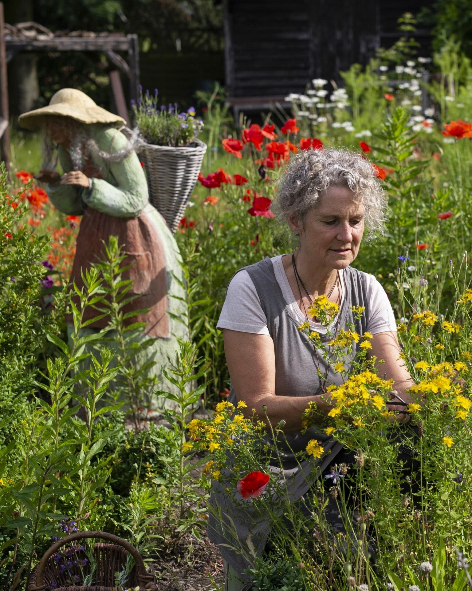 Steckbrief: Anke Höller über Wildsamen - Luna Herbs