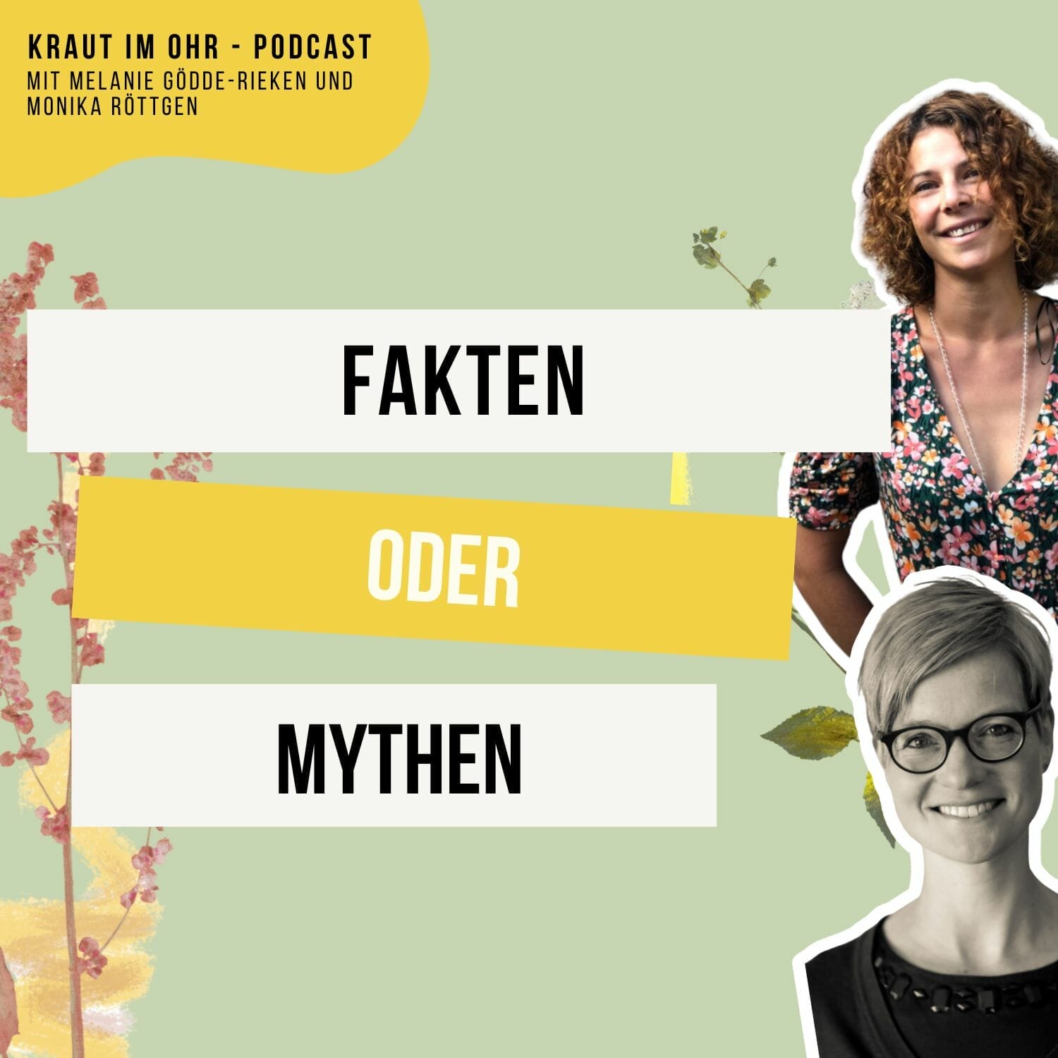 Fakten oder Mythen? Das solltest du unbedingt über das Johanniskraut ... Fakten oder Mythen? Das solltest du unbedingt über das Johanniskraut ...
